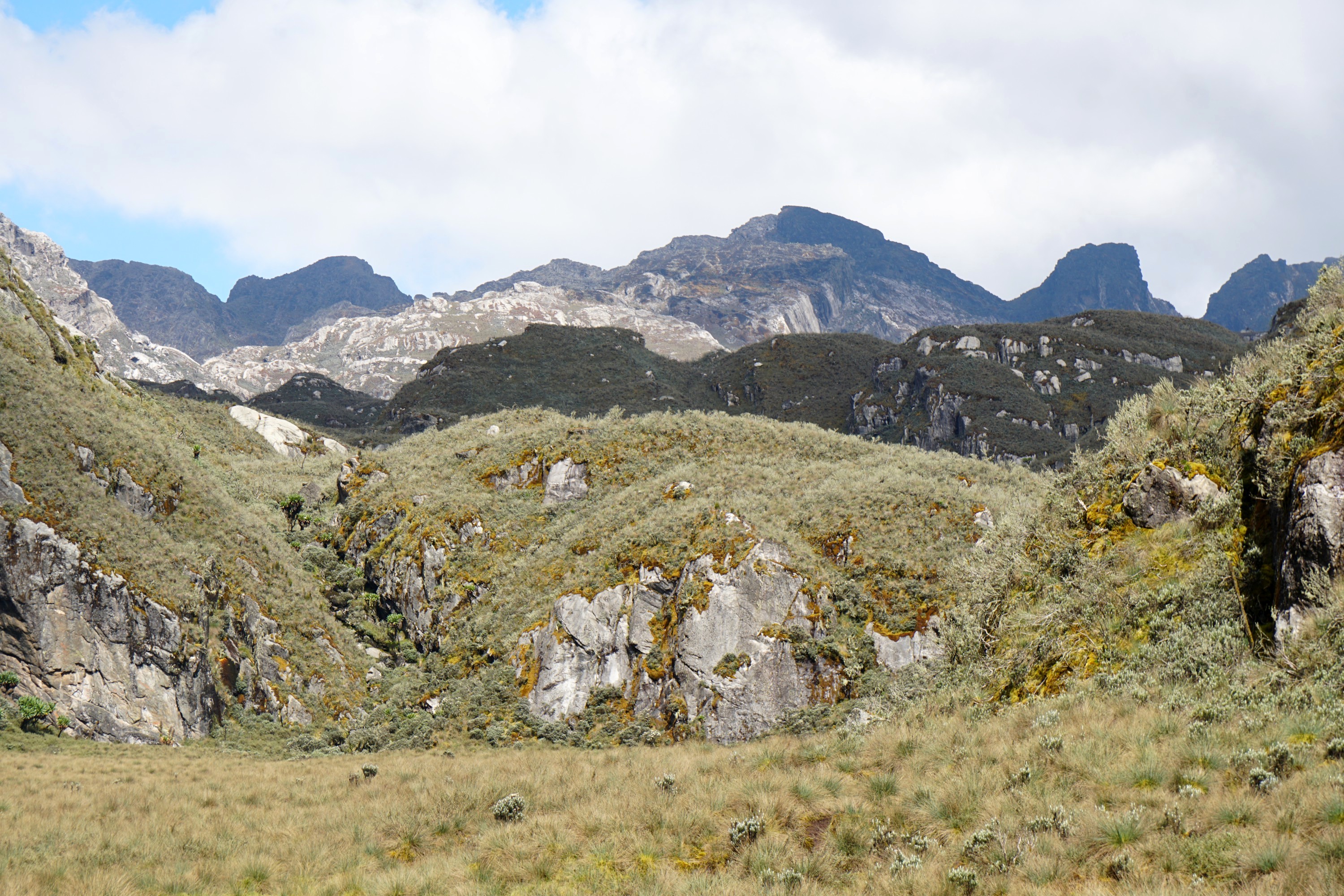 Rwenzori Mountains – Matinda Camp to Bugata Camp – Jonty travels…