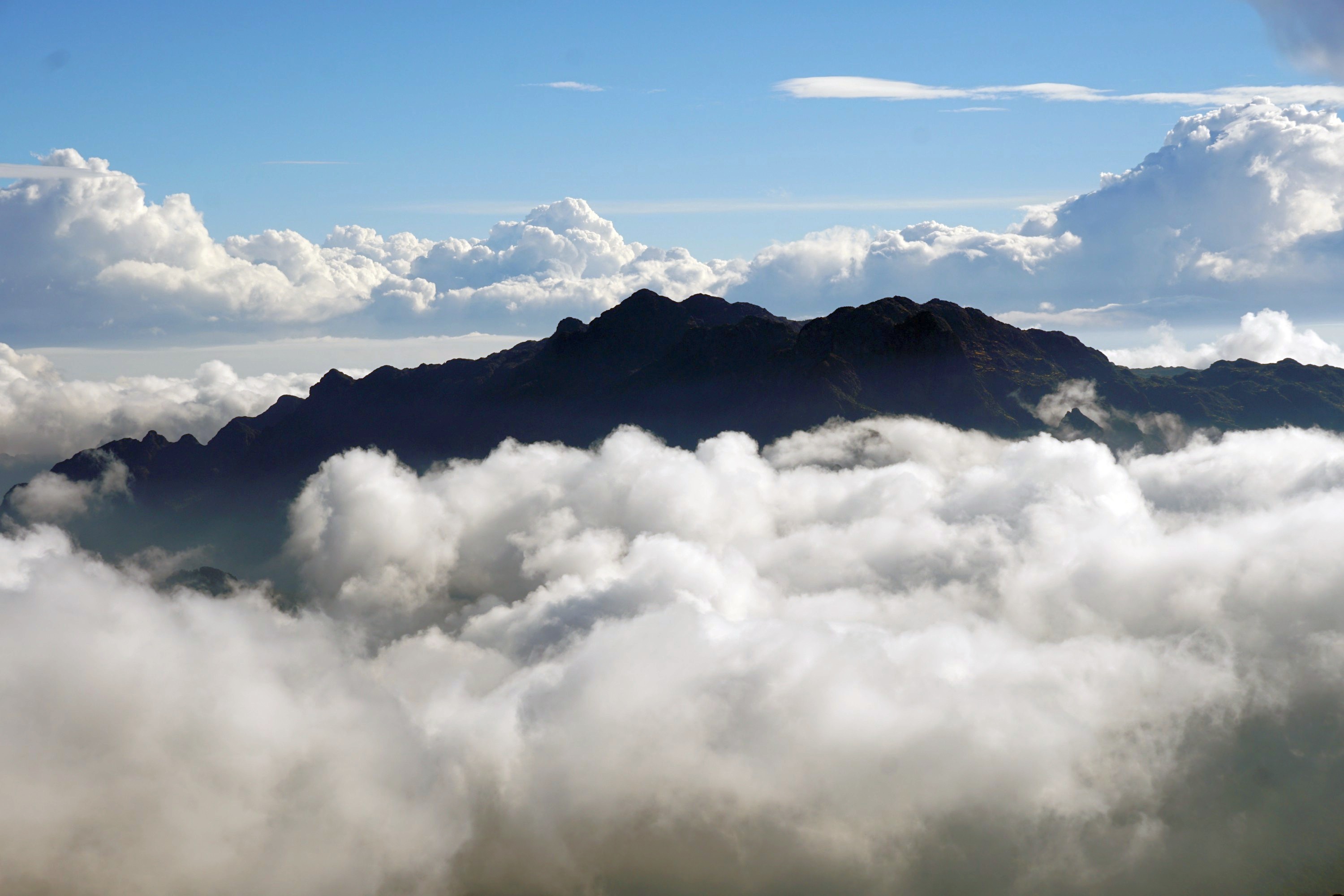 Rwenzori Mountains – Margarita Camp to Bugata Camp – Jonty travels…