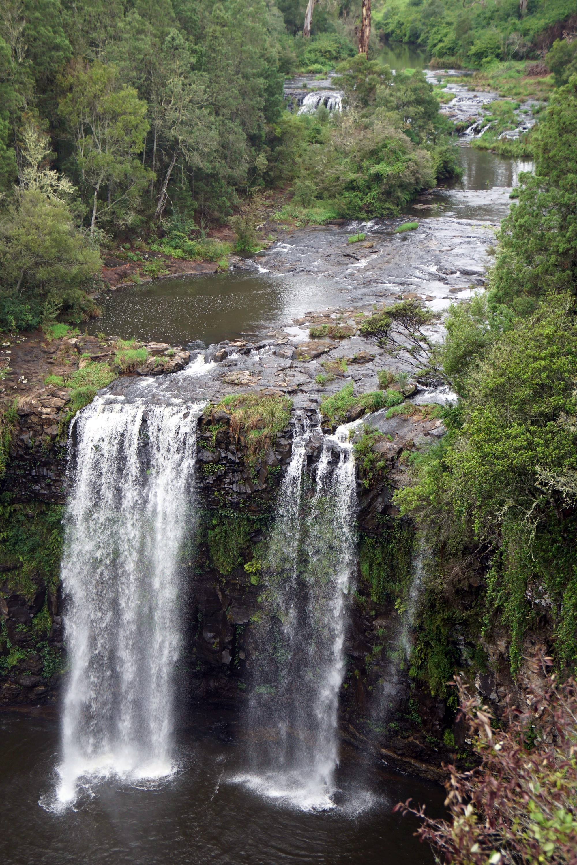 The Waterfall Way and Coffs Harbour – Jonty travels…