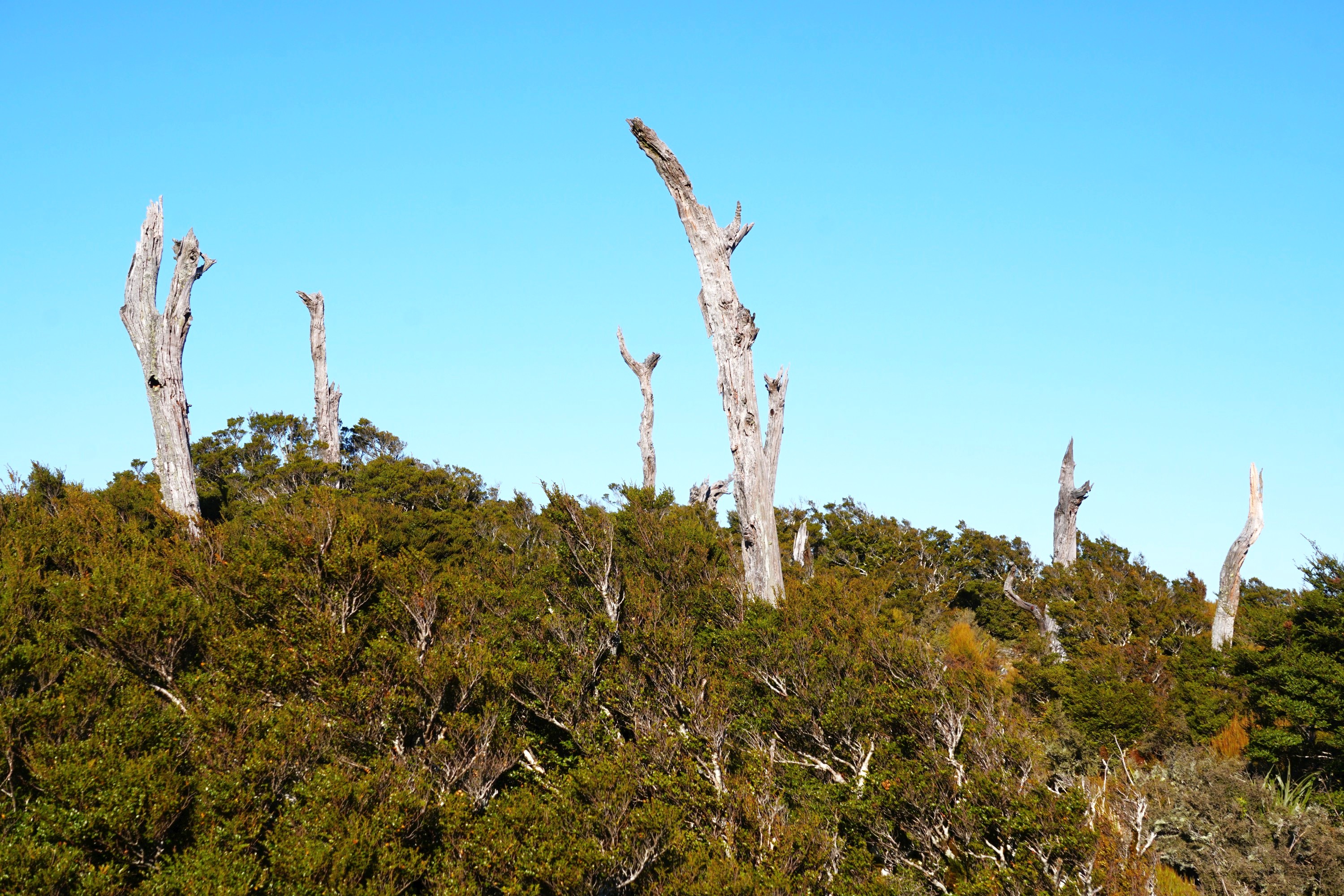Three day circuit in the Tararua Ranges from Kaitoke – Jonty travels…