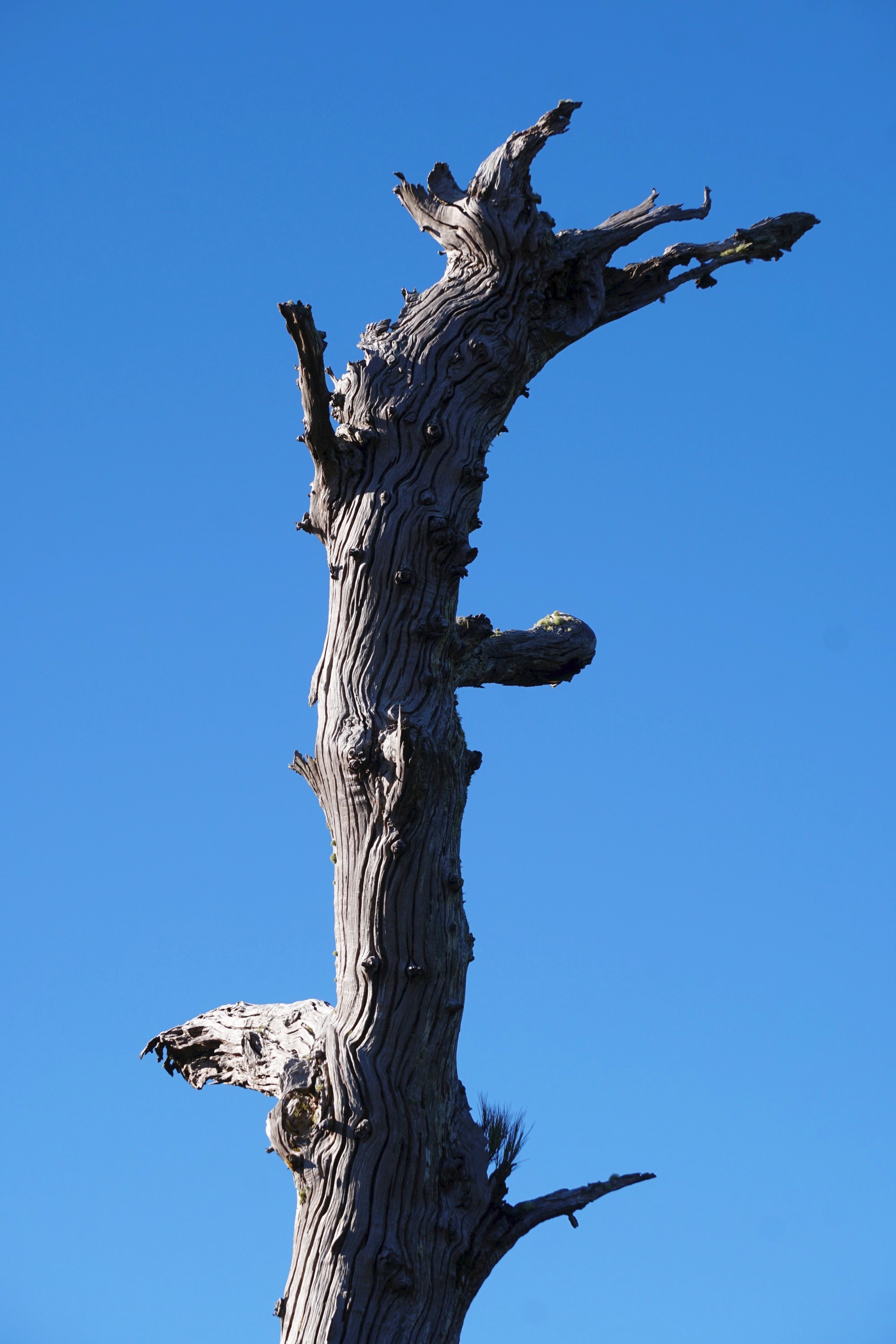 Three day circuit in the Tararua Ranges from Kaitoke – Jonty travels…