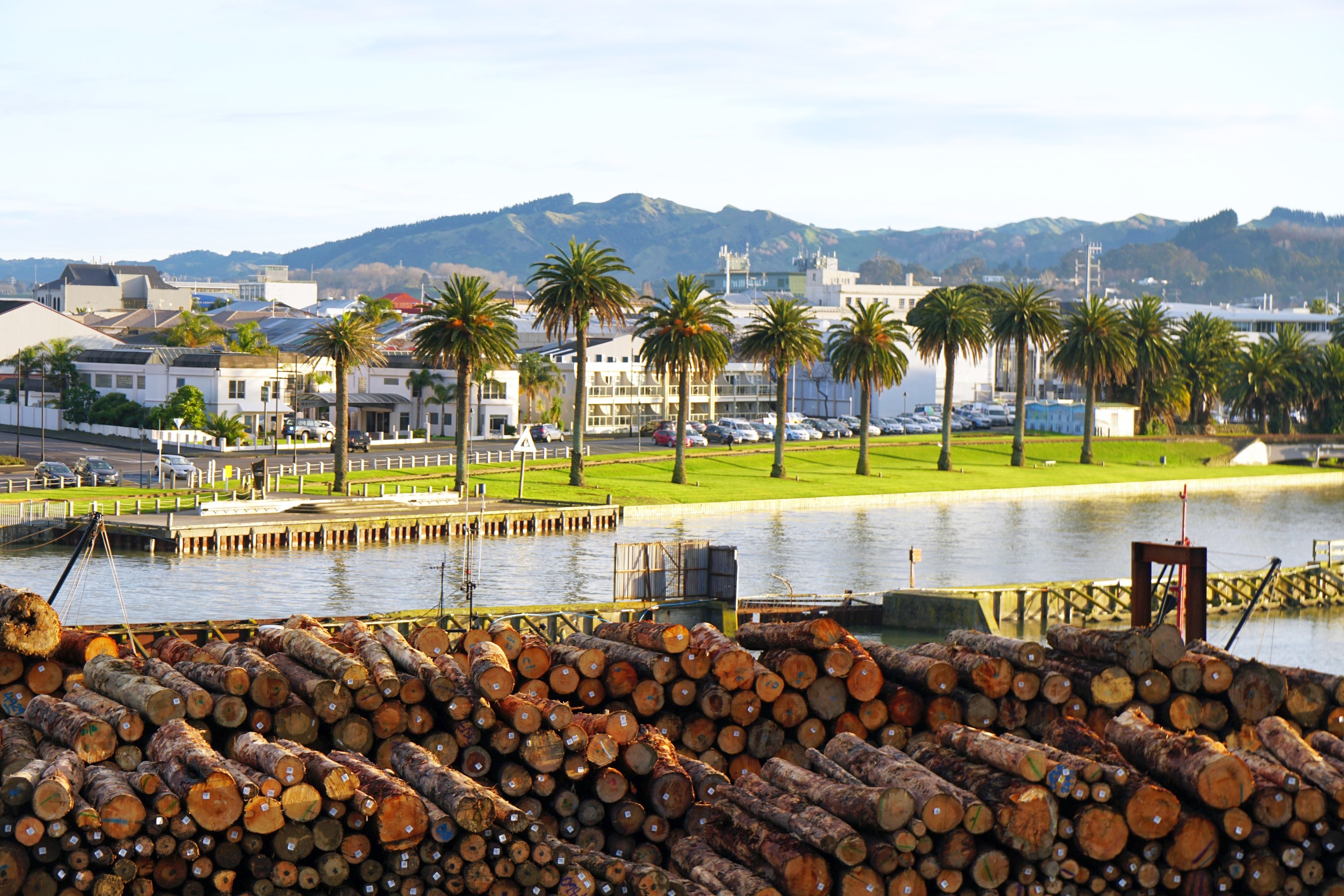 Gisborne – Jonty travels…