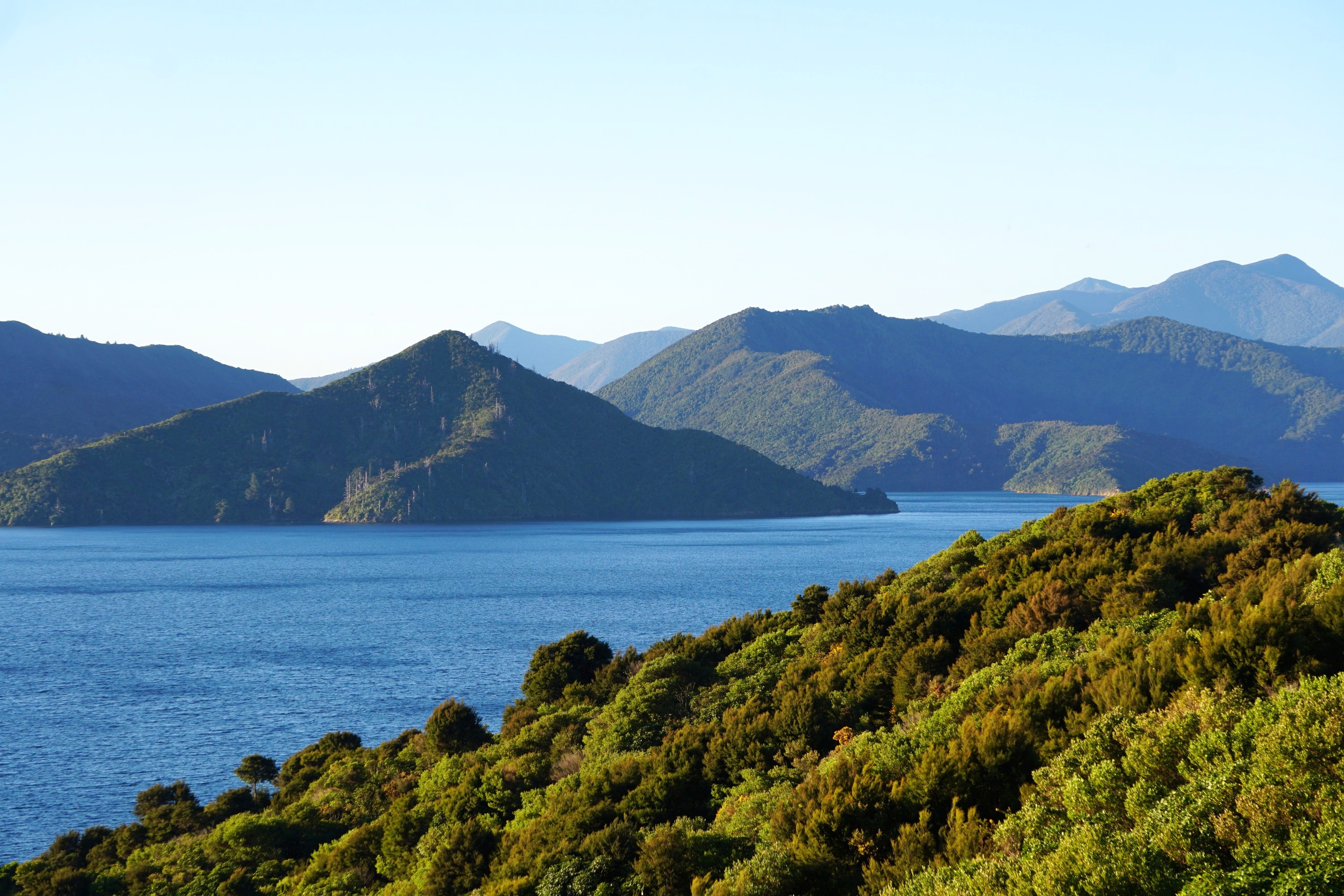 Picton & Marlborough Sounds – Jonty travels…