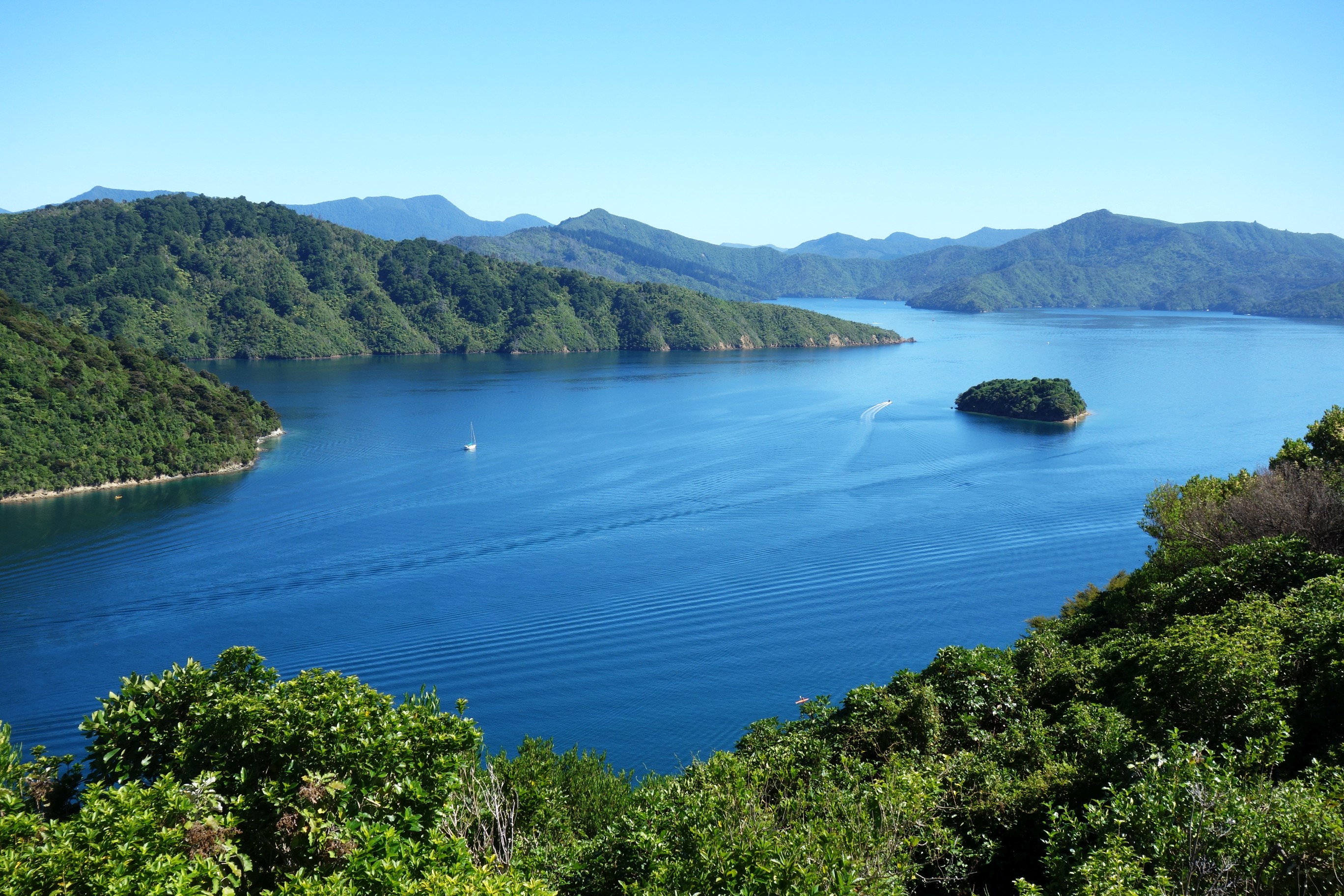 Picton & Marlborough Sounds – jontynz – tales from around the world…