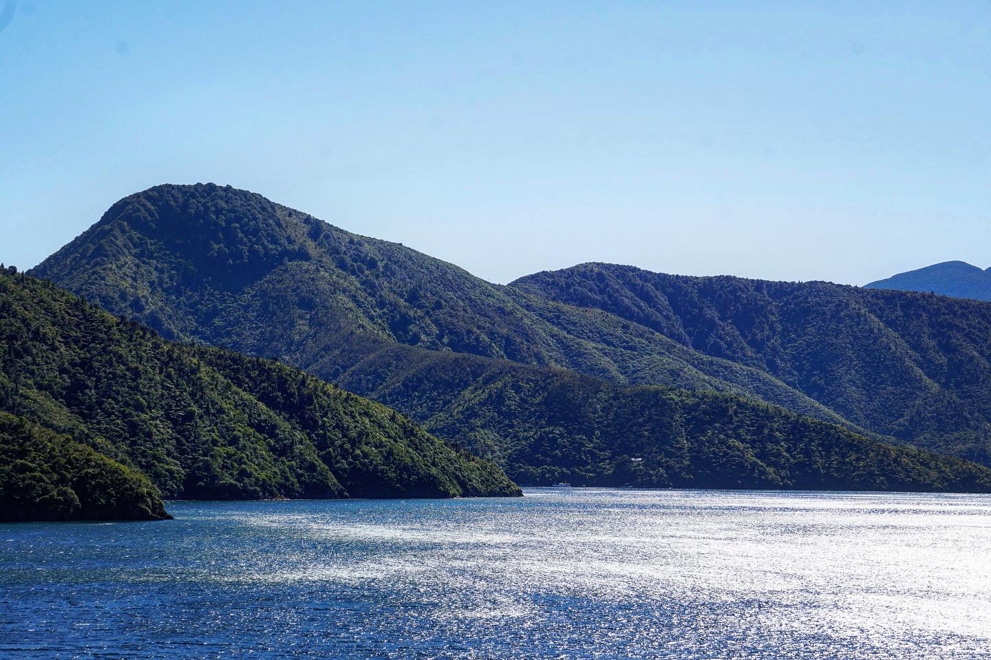 Picton & Marlborough Sounds – Jonty travels…