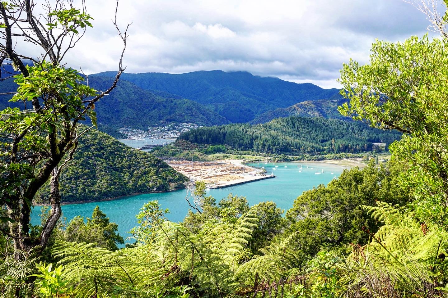 Picton & Marlborough Sounds – Jonty travels…
