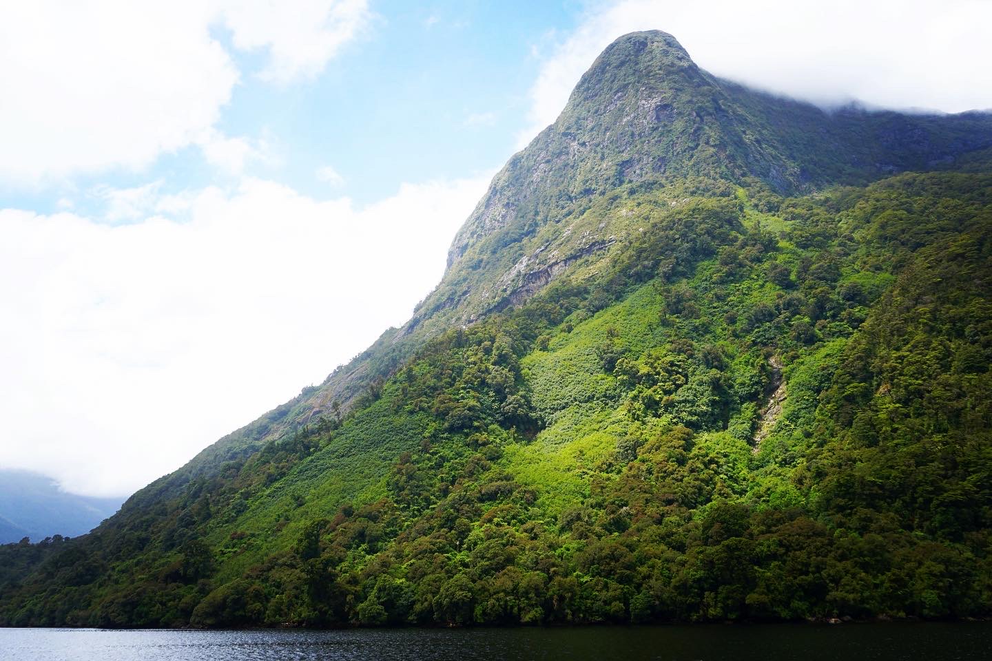 Doubtful Sound – Jonty travels…