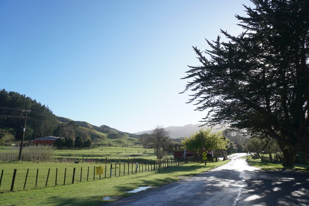 Battle Hill Farm Forest Park Transmission Gully – Puketiro Loop – Jonty ...