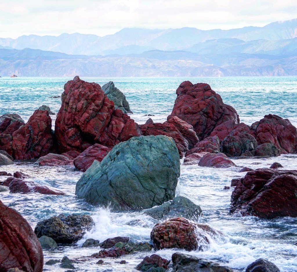 Red Rocks Reserve – Jonty travels…