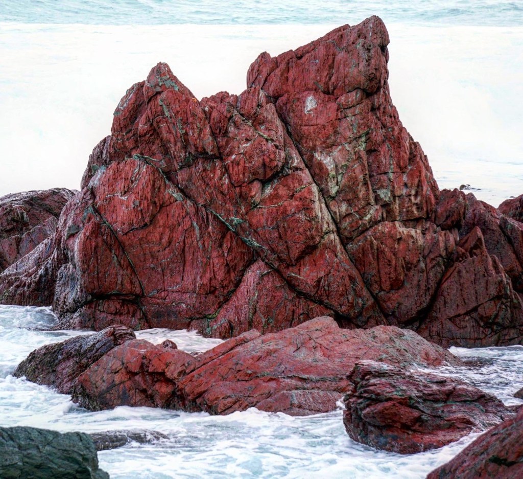 Red Rocks Reserve – Jonty travels…