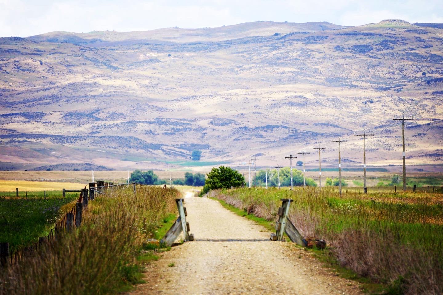 Central Otago Rail Trail – Lauder to Waipiata – Jonty travels…