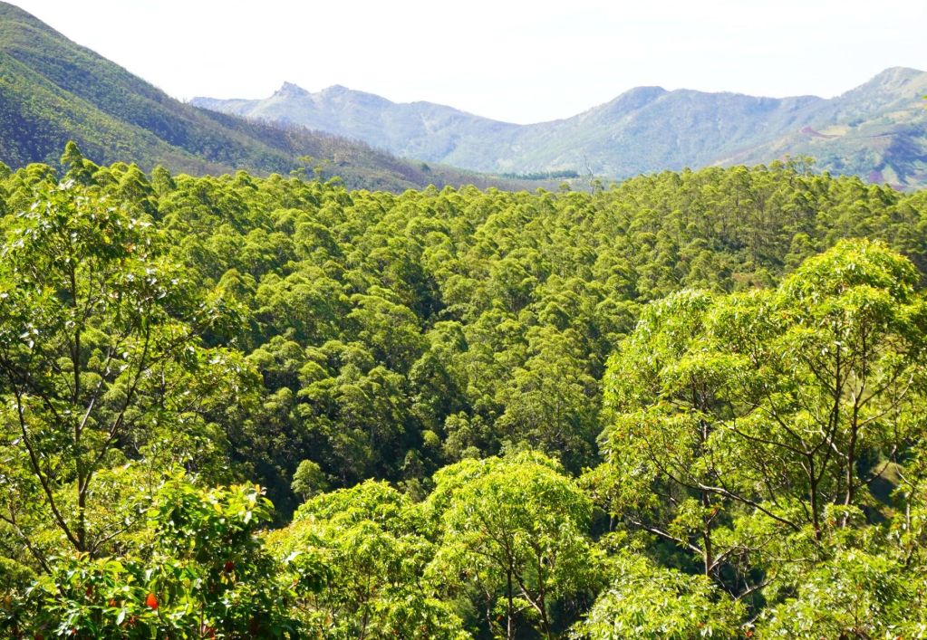 Timor-Leste Coast2Coast – Mt Ramelau / Tatamailau – Jonty travels…
