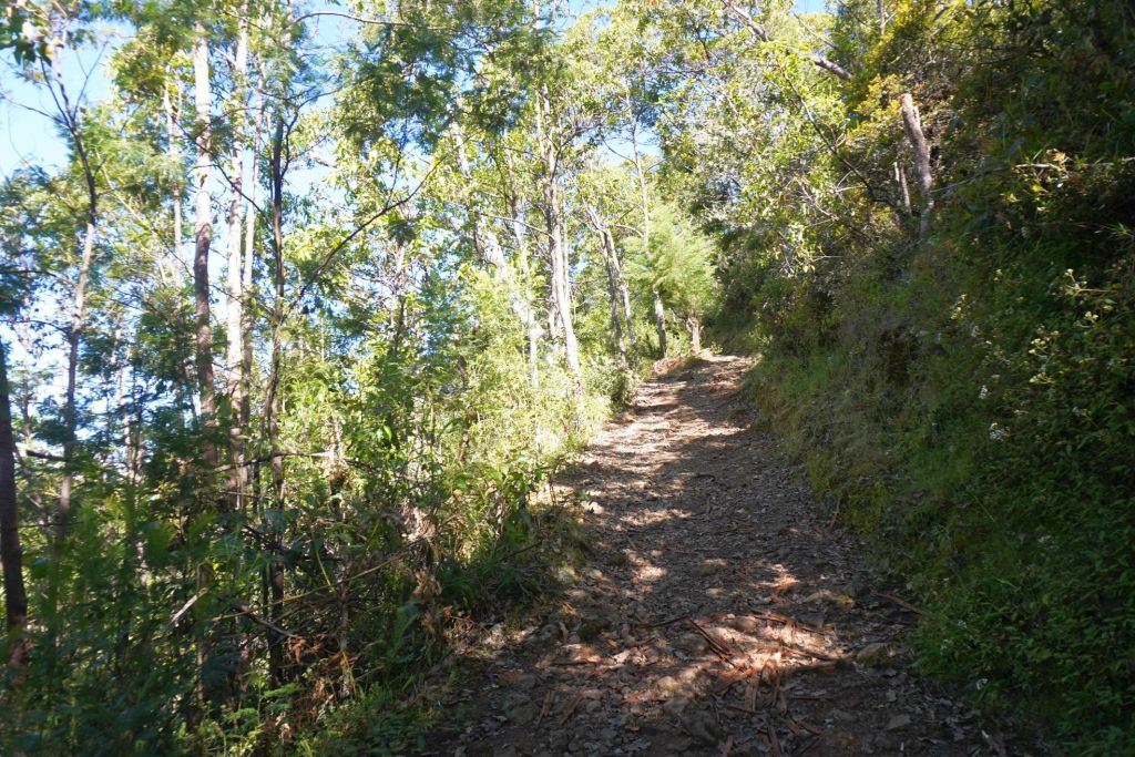 Timor-Leste Coast2Coast – Mt Ramelau / Tatamailau – Jonty travels…